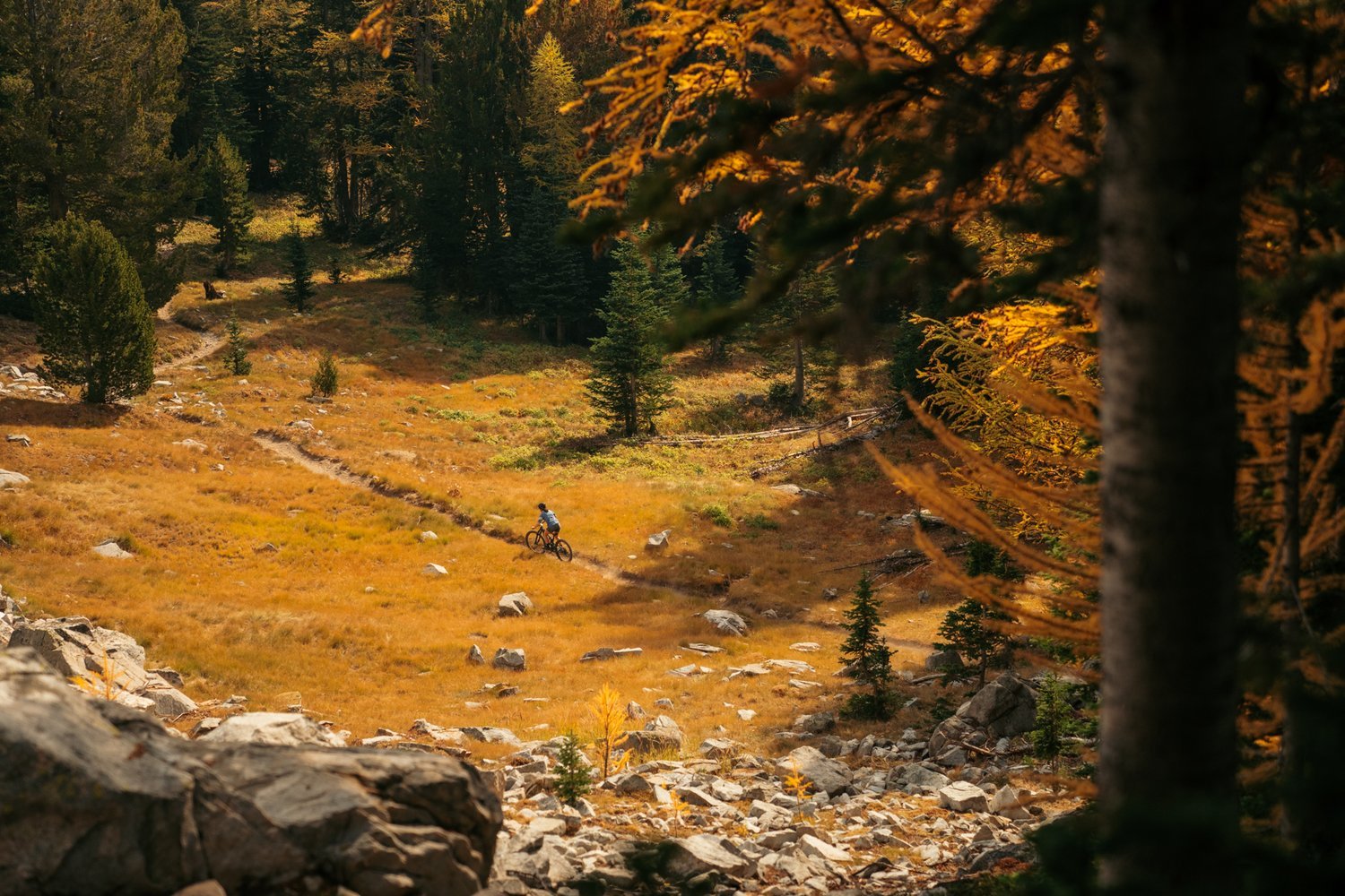 All The Questions - Kinkou.org