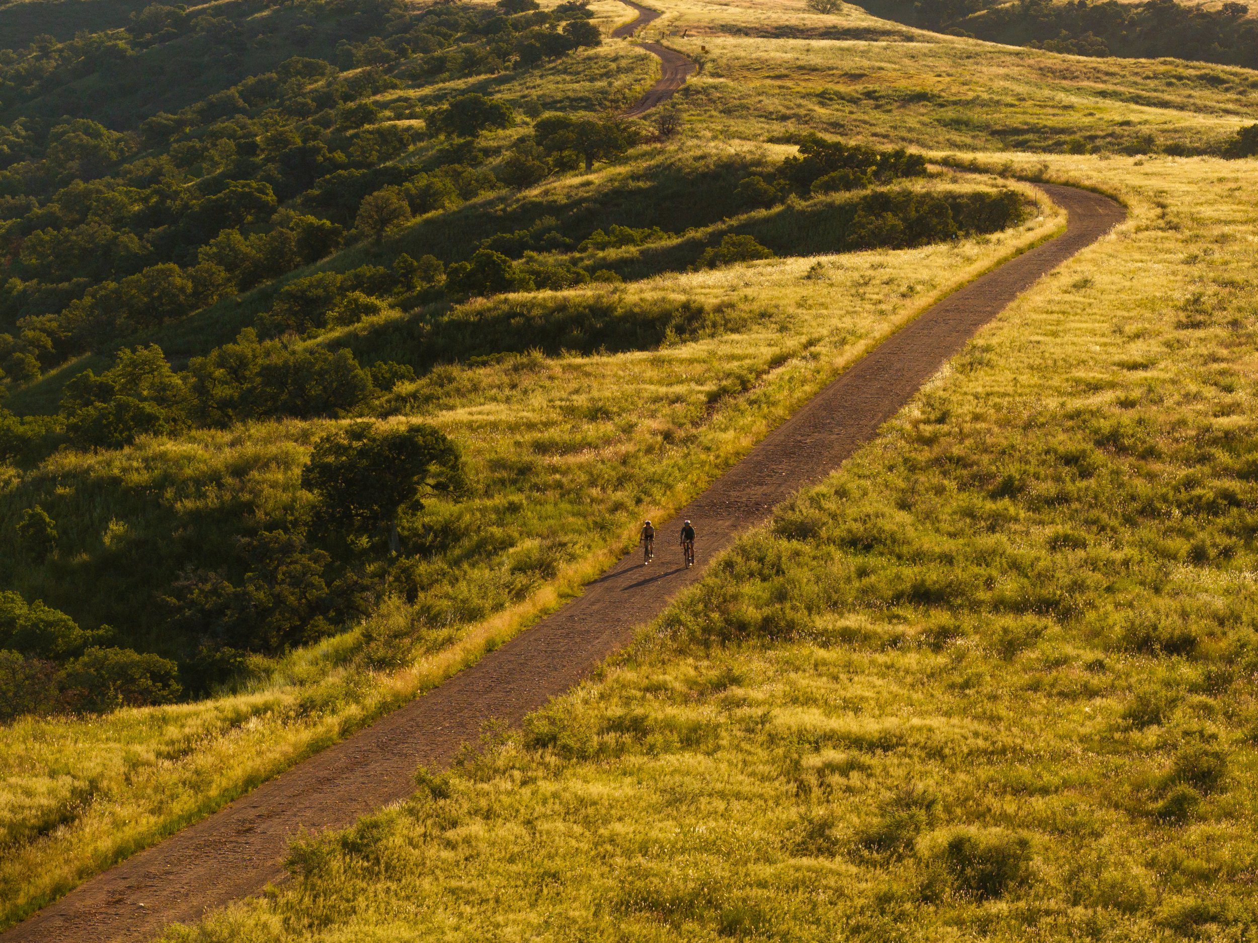 You're An Accidental Diminisher, And That's OK - Kinkou.org